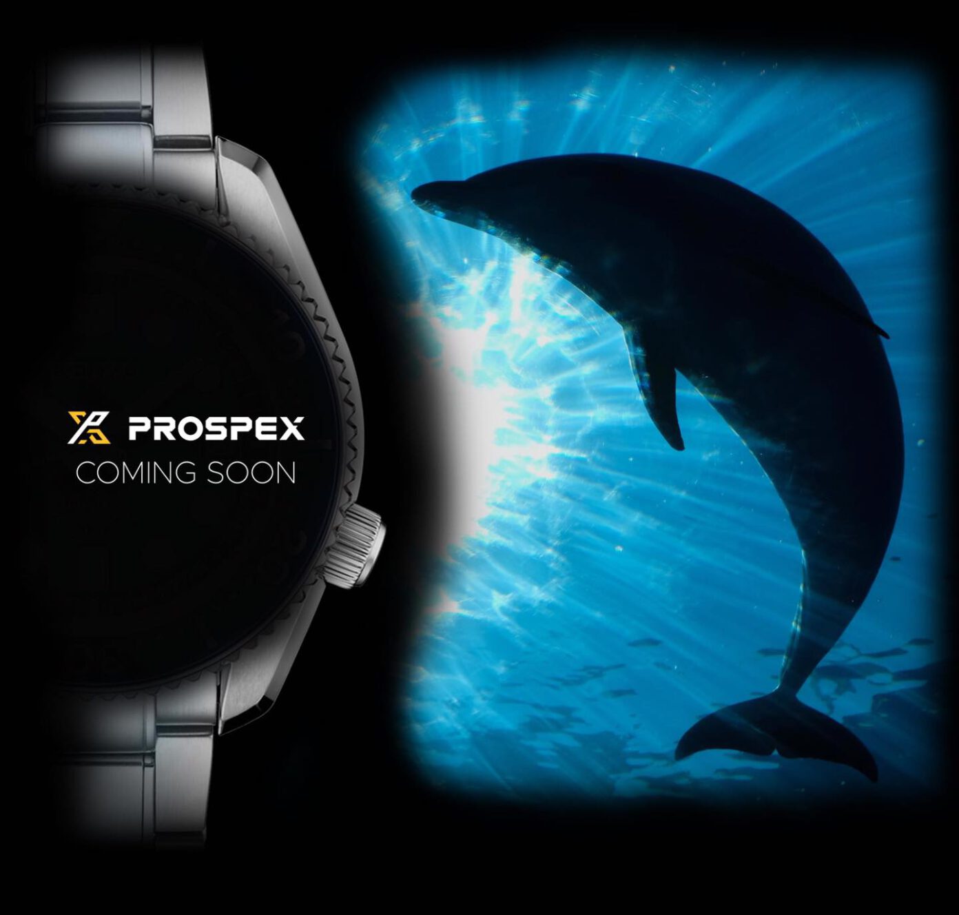 Seiko Marinemaster SLA045J1 ผลิตจำกัดเพียง 300 เรือนเท่านั้น