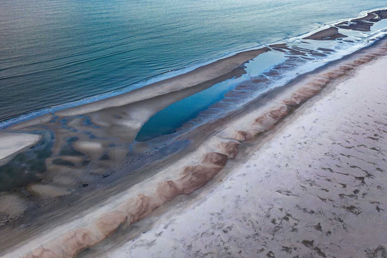 Oris Dat Watt Limited Edition II อีกครั้งเพื่อสนับสนุงานอนุรักษ์ทะเลวัดเดน